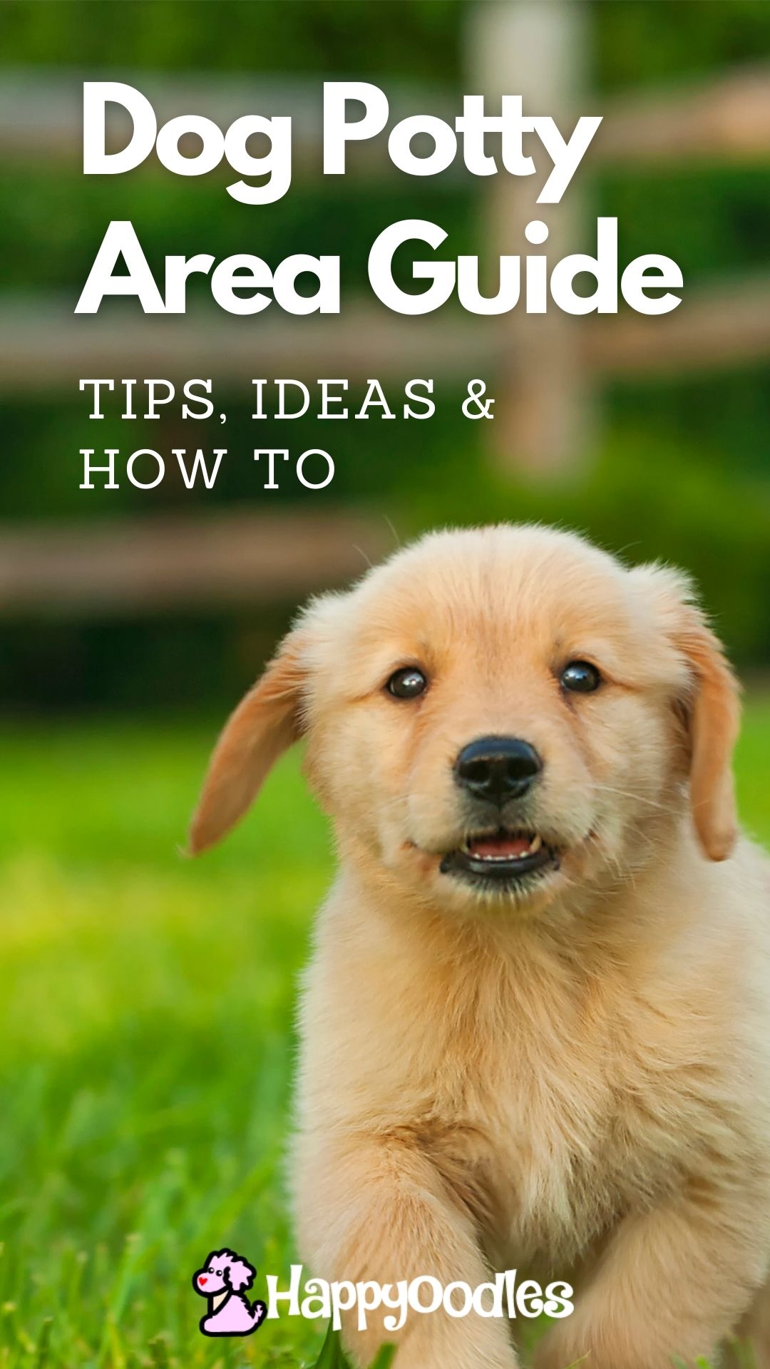 Outdoor Dog Potty Area Inspiration, Ideas, and Tips