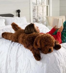38 Best Labradoodle Gifts for People Who Love Them 2024