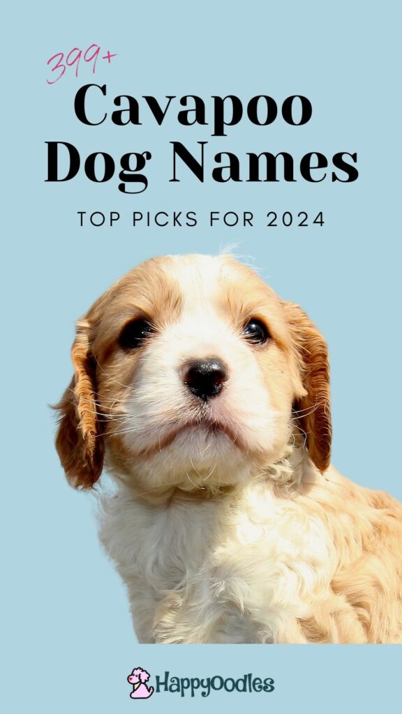 399+ Best Cavapoo Dog Names: Our Top Picks for 2024