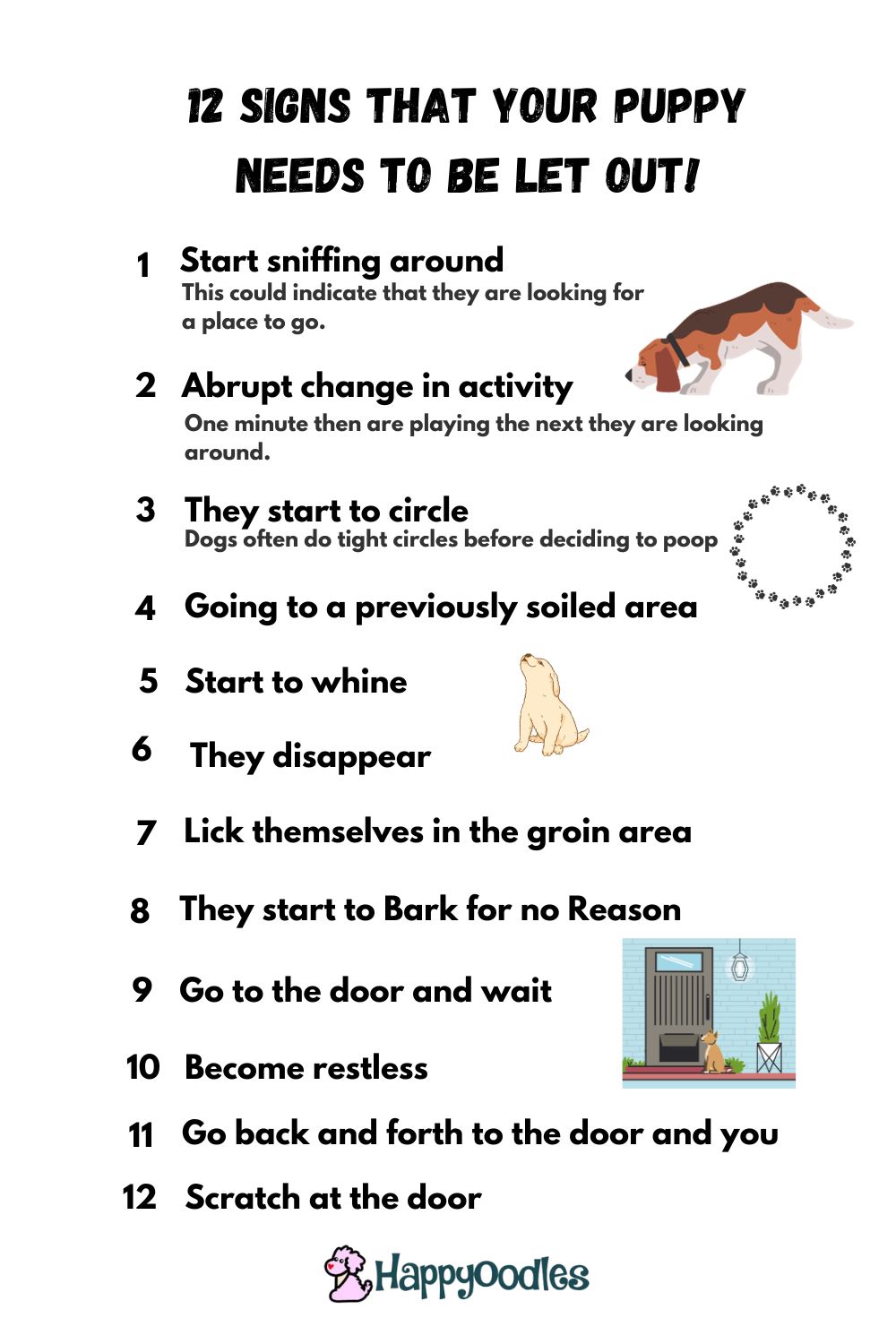 Potty Training a Puppy: Made Easy