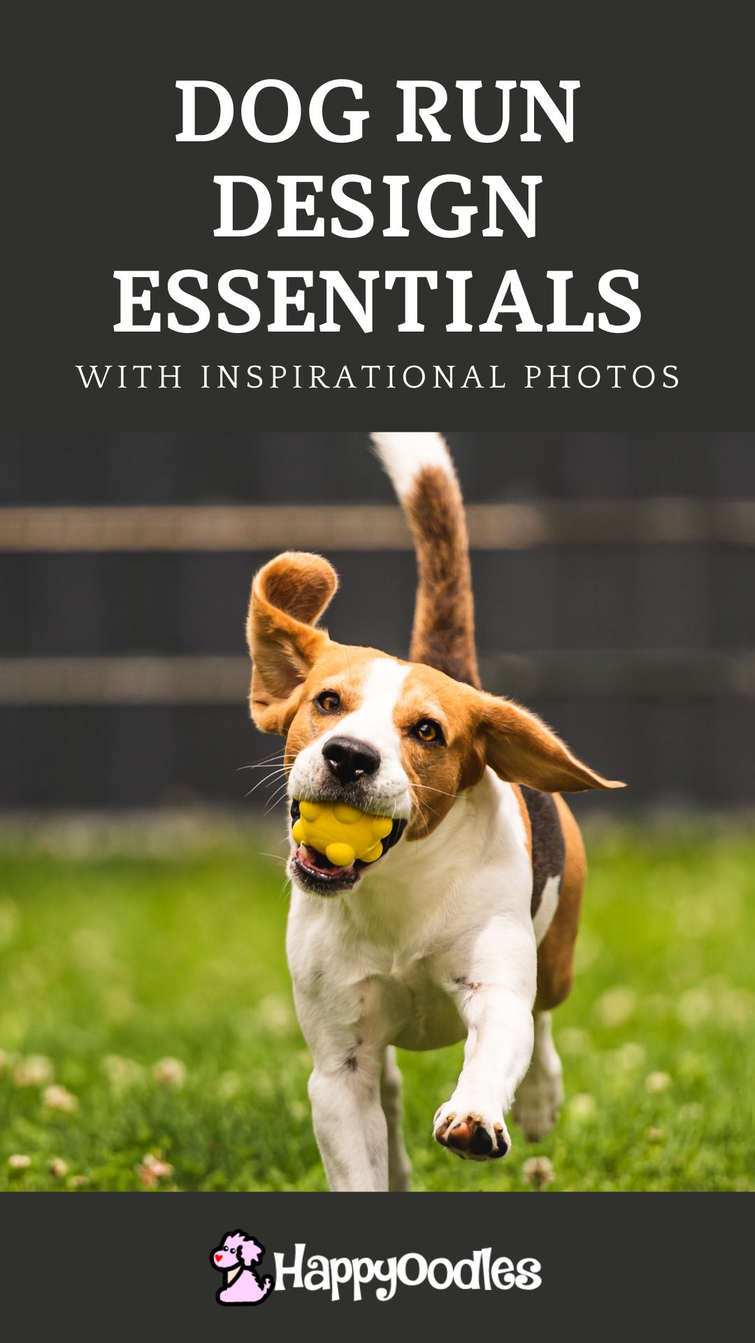 Dog Run Design Ideas with Inspirational Photos