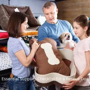 Bringing Home a Rescue Dog? Use Our Checklist To Prepare