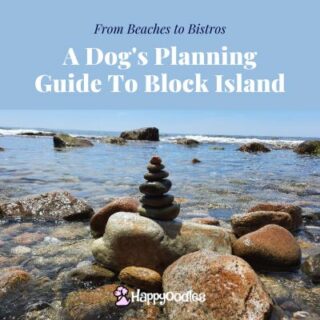 Beaches to Bistros: A Dog's Planning Guide To Block Island