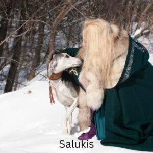 The One Person Dog: Breeds That Are Most Loyal to One Person