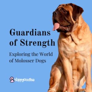 Guardians of Strength: Exploring the World of Molosser Dogs